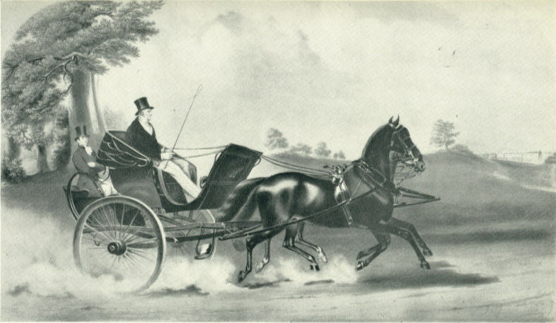 Regency Carriages – Vanessa Riley’s Regency Reflections